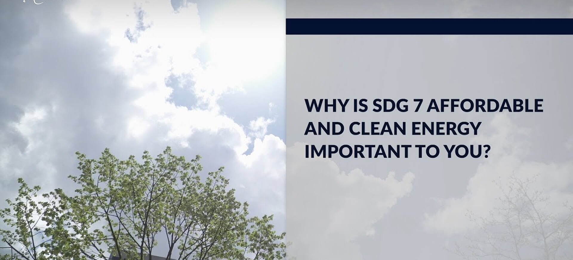 SDG 7 - Affordable and clean energy - Rotterdam School of Management ...