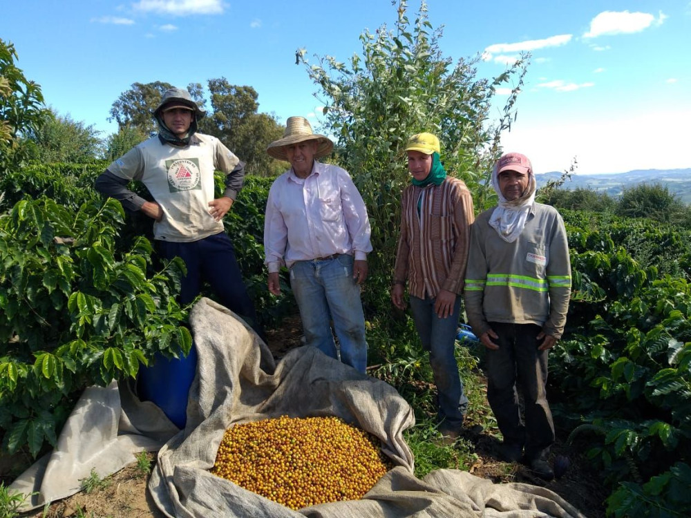 Andradas Coffee Case most used free case worldwide in 2024