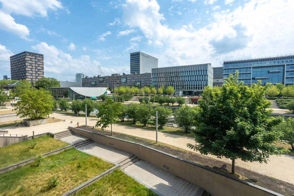 RSM ranks #1 in the Netherlands for Finance & Investments