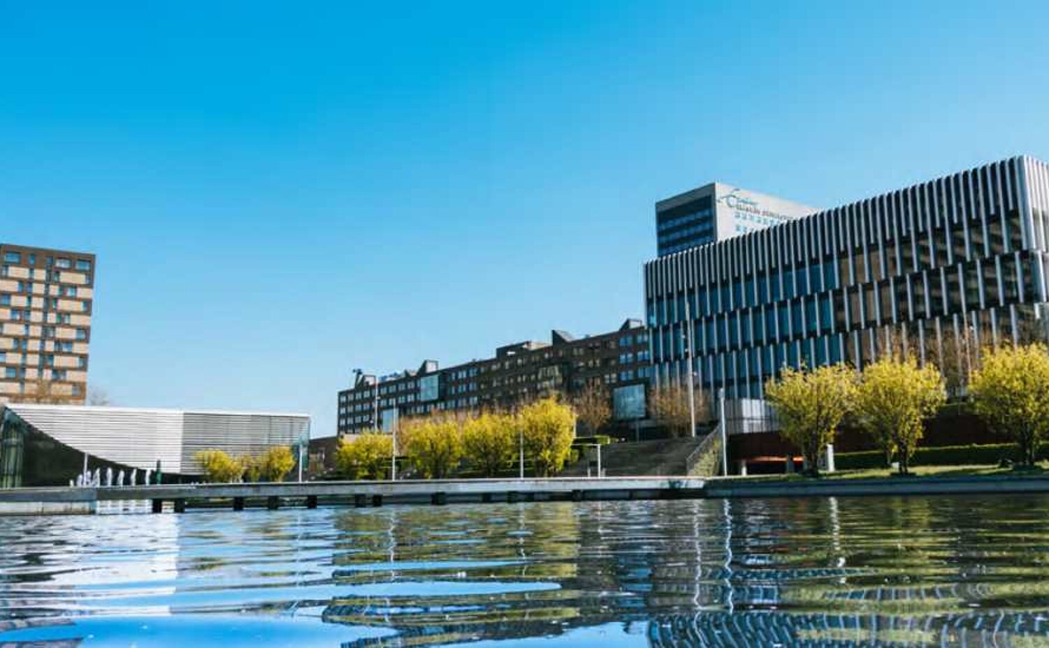 What is an MBA? Master of Business Administration at RSM Erasmus University