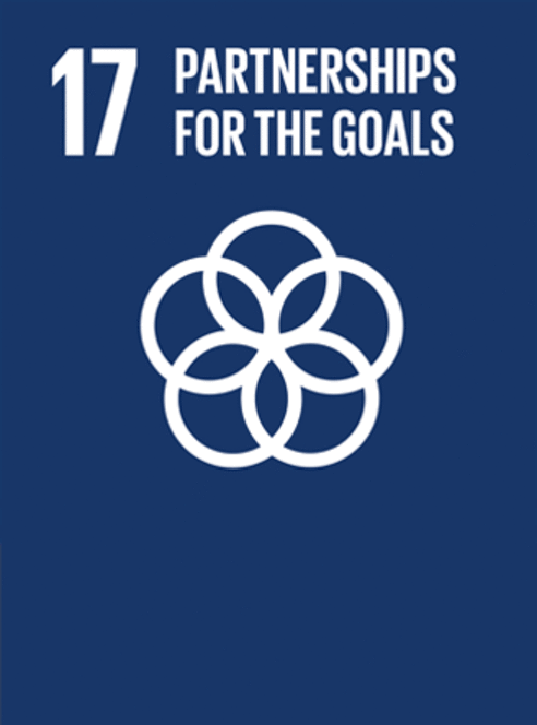 SDG 17 - Partnerships for the goals