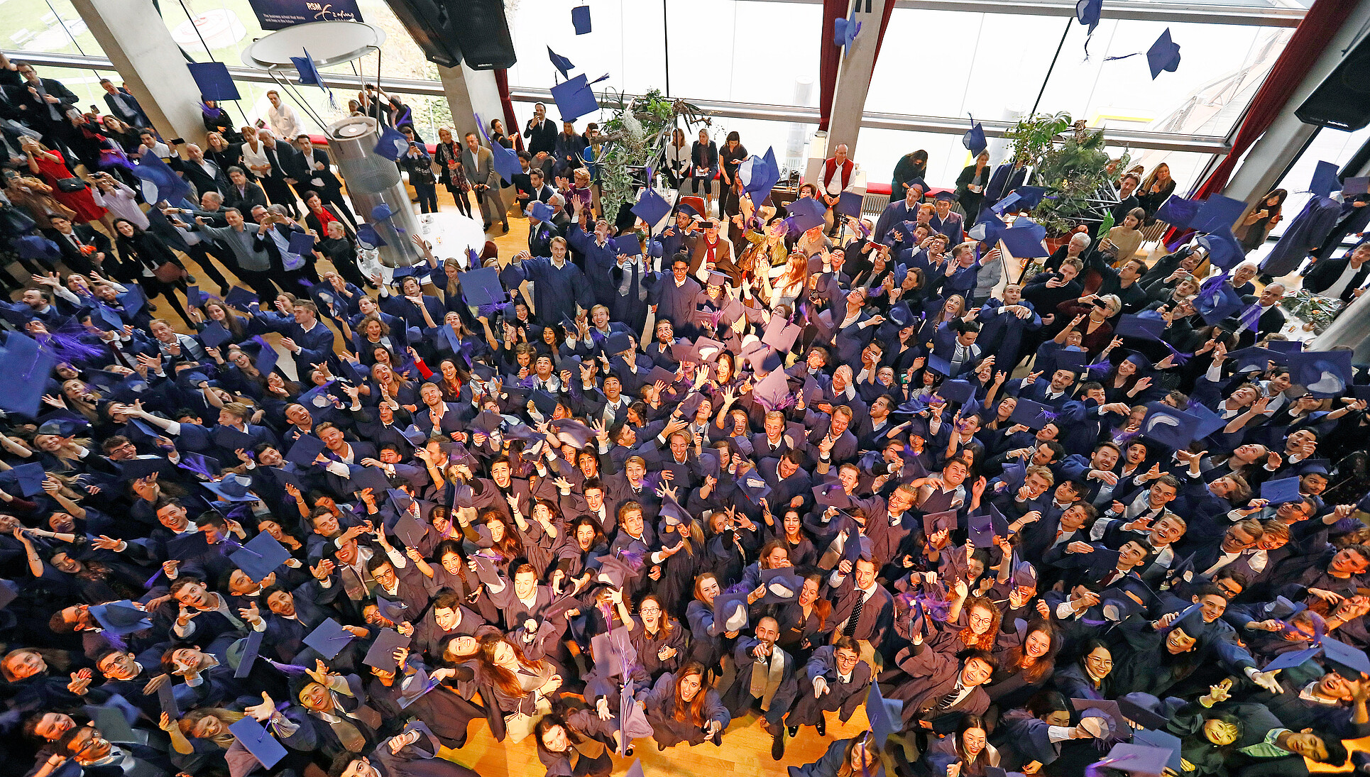 Alumni Experience and coaching | RSM, Erasmus University