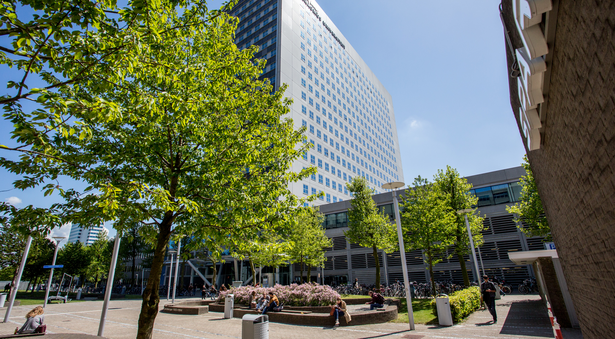 Overview | RSM's 7 academic departments