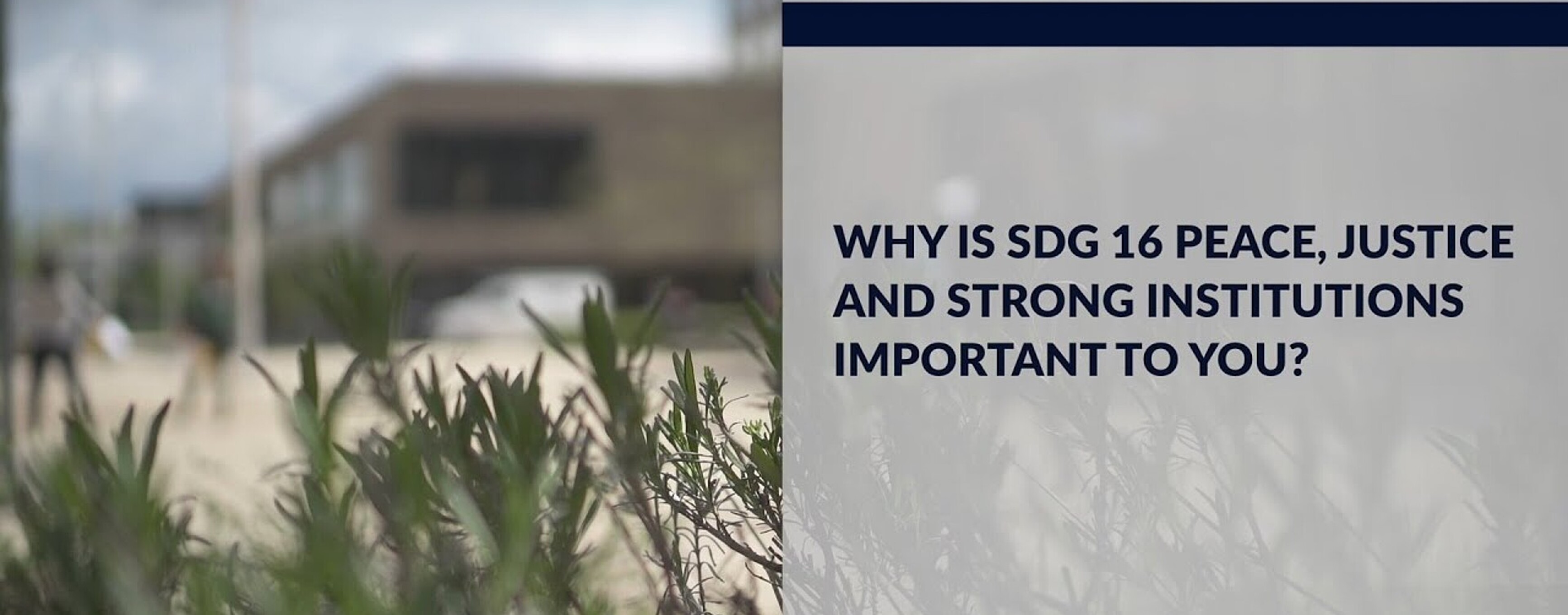 SDG 16 - Peace, justice and strong institutions