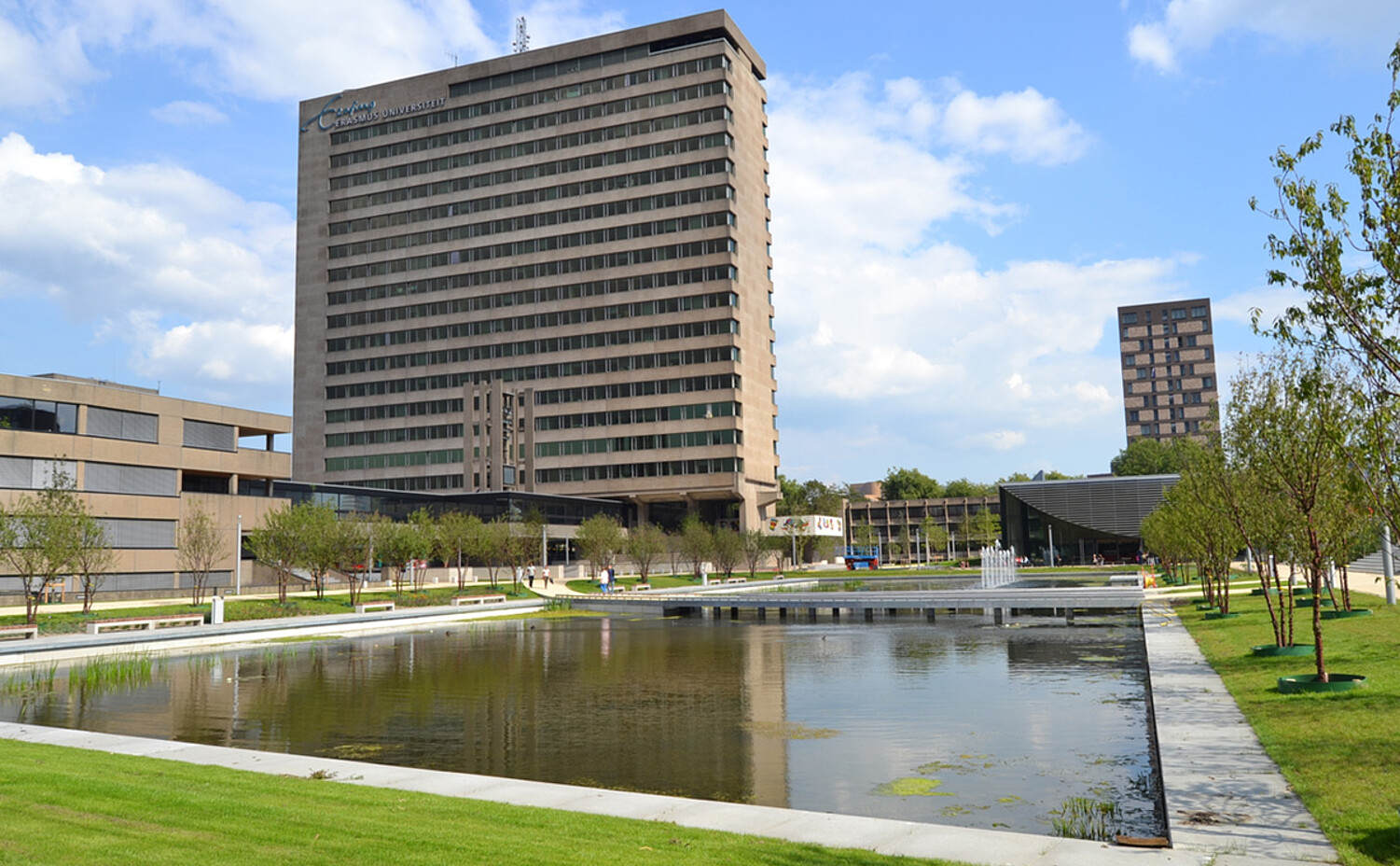 RSM Diploma Programme in General Management