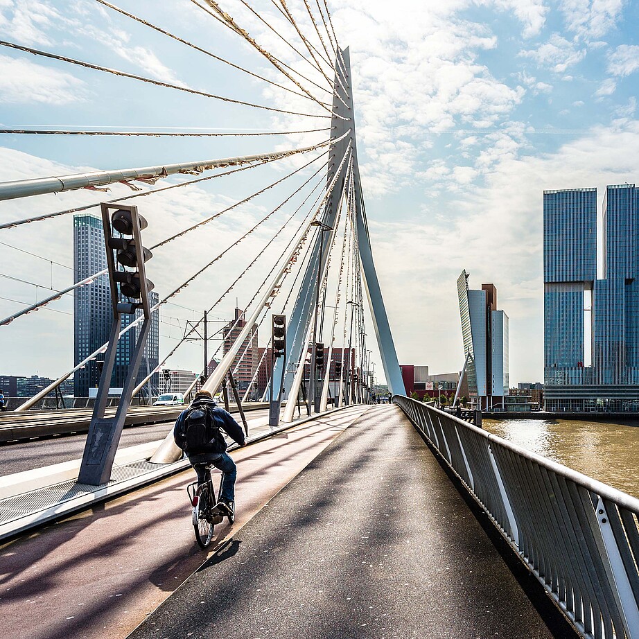 Online Masters - Rotterdam School of Management, Erasmus University