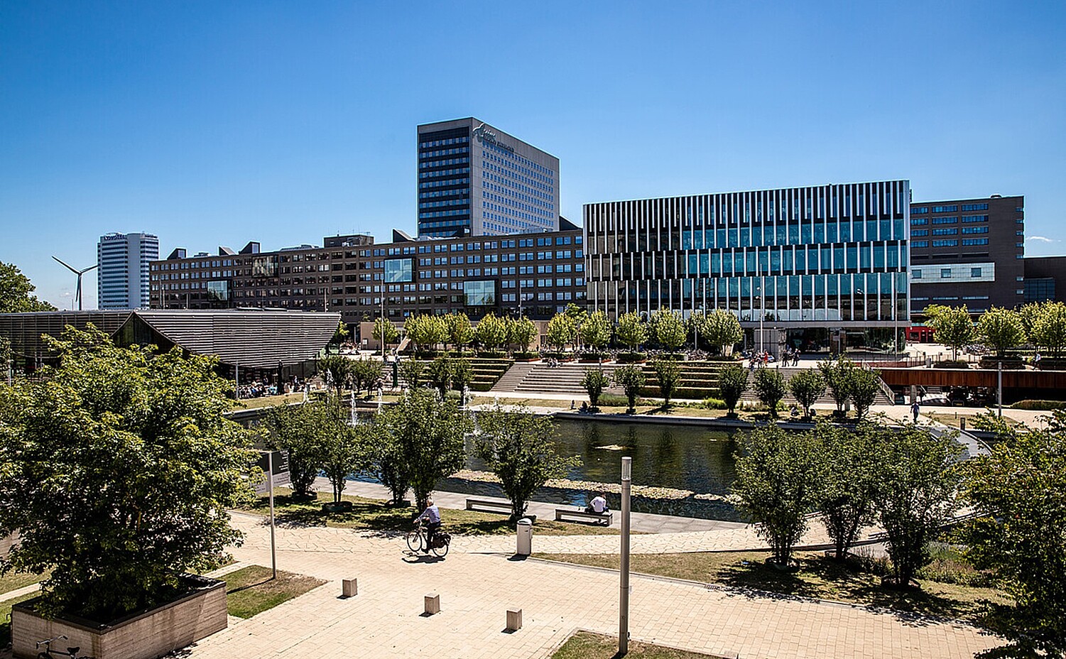 Bachelor Contact - Rotterdam School of Management, Erasmus University