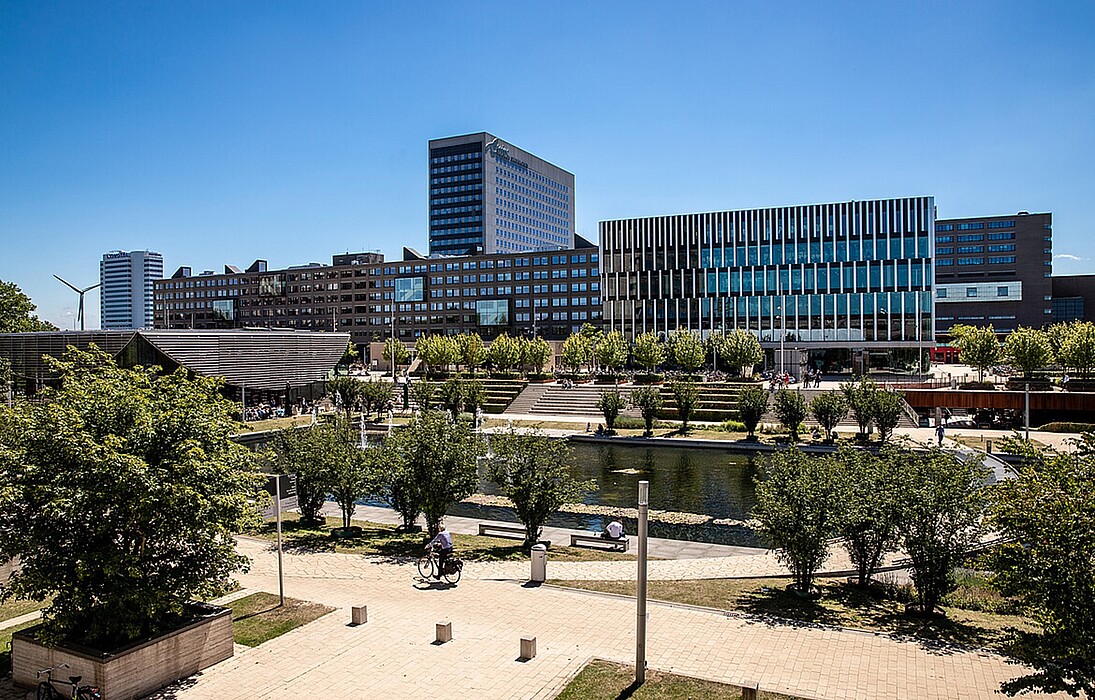 Rotterdam School of Management, Erasmus University