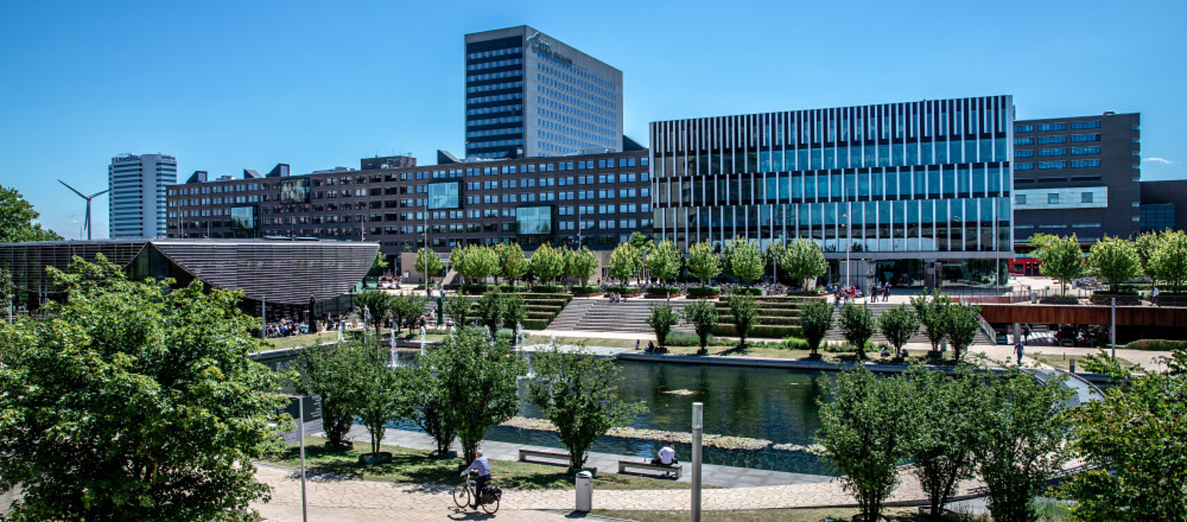 RSM climbs ranking for sustainability in MBA core courses