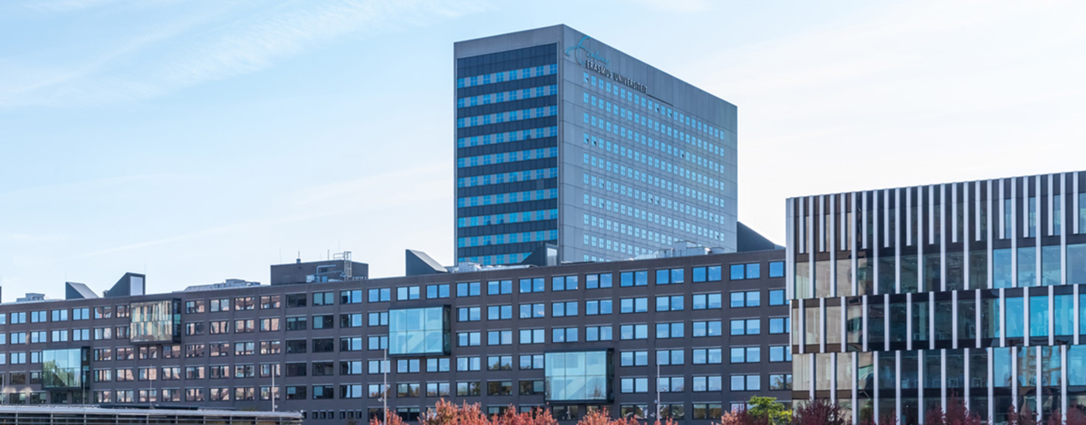 RSM's BSc in International Business Administration - Rotterdam School ...