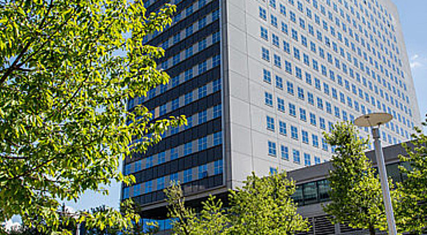 Specialised Master in Management Programmes at RSM