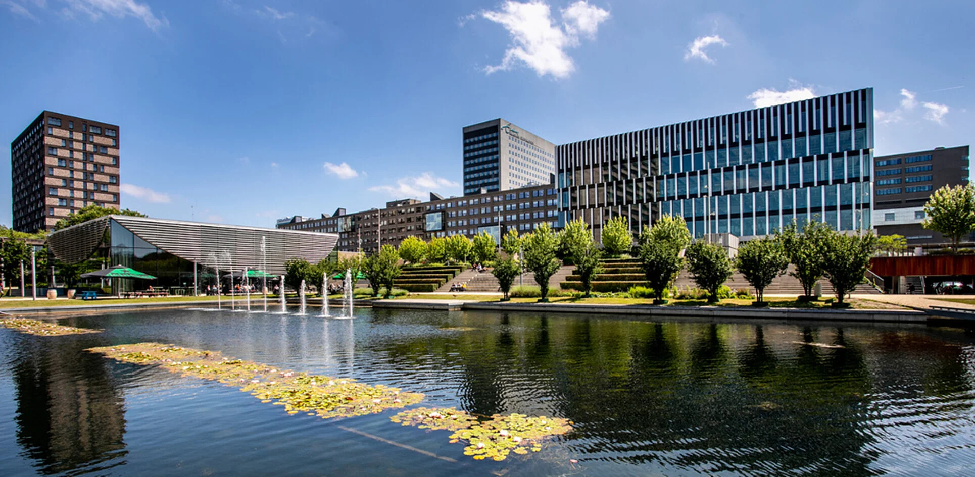 Master programmes at RSM