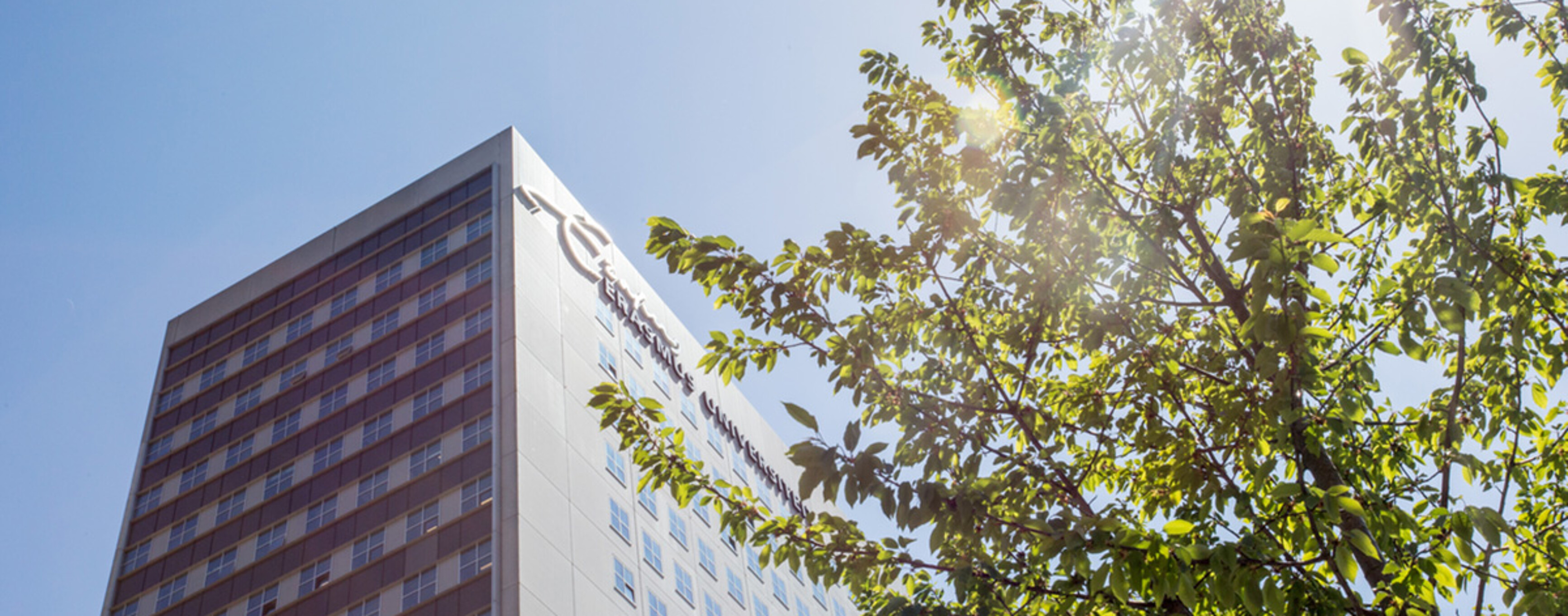 Online Master Sustainability Management